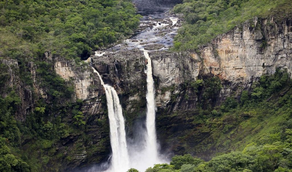 La forêt atlantique du Brésil, jungle ancestrale et méconnue